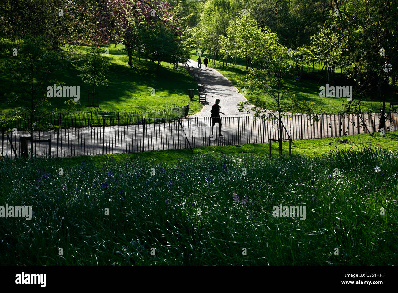 Spring morning in the Dell, Hyde Park, London, UK Stock Photo - Alamy