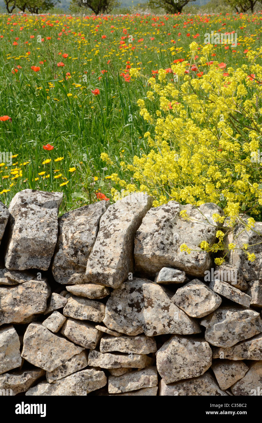 Puglia countryside view hi-res stock photography and images - Alamy