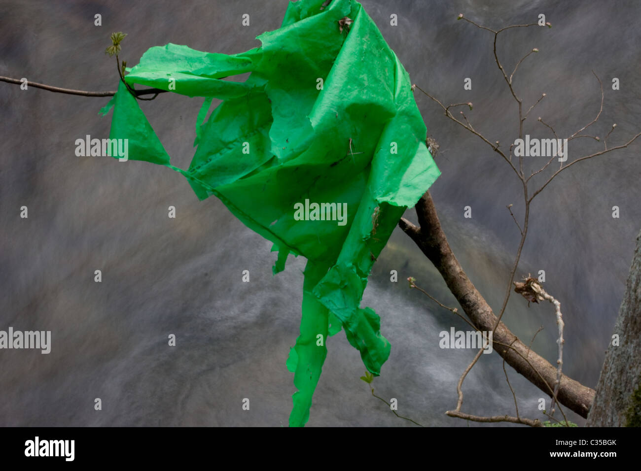 Plastic bag washed up by river Stock Photo - Alamy