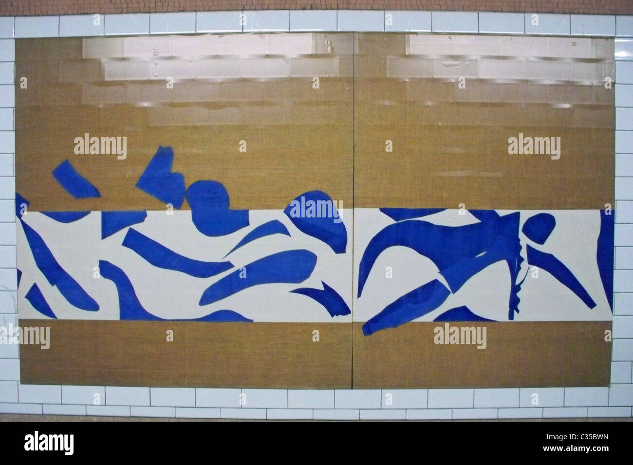Henri Matisse Swimming Pool