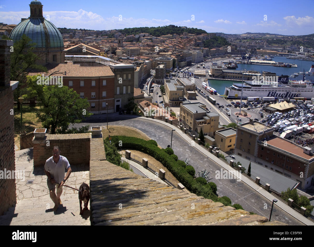 Marche italy dog hi-res stock photography and images - Alamy