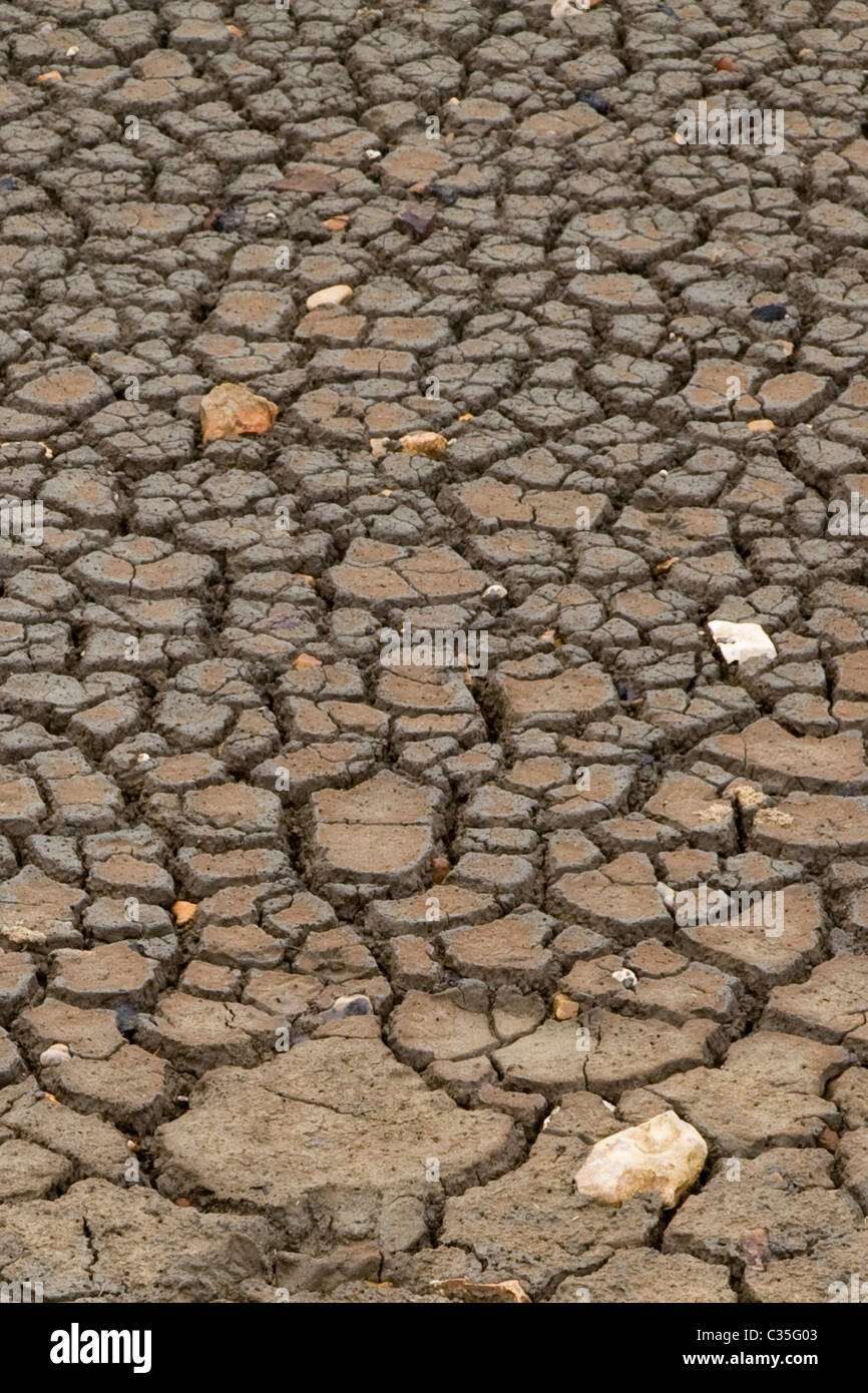 Cracked Mud Stock Photos & Cracked Mud Stock Images - Alamy