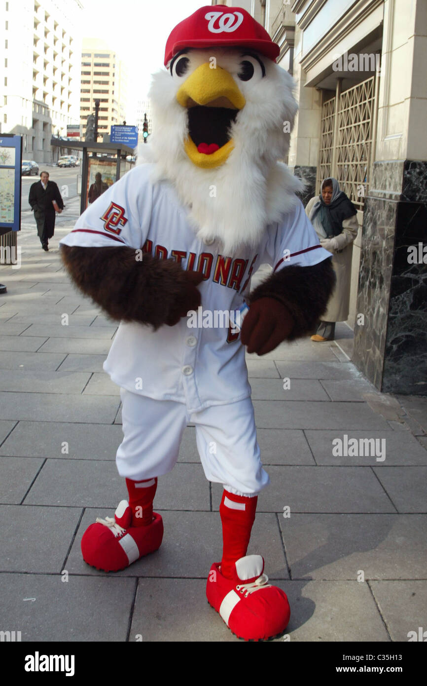 Washington nationals mascot hi-res stock photography and images - Alamy