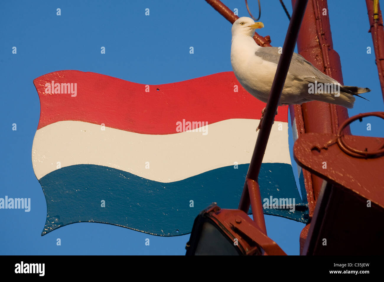 Fishing boat ensign flag and seagull Texel Netherlands Stock Photo - Alamy