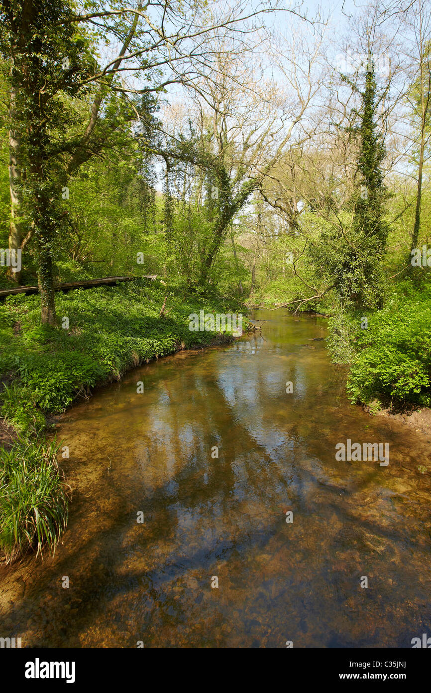 Forge valley uk hi-res stock photography and images - Alamy