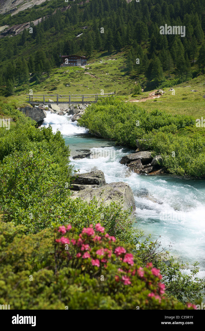 Chiese river in Adamello-Brenta Natural Park, Fumo Valley, Val di Daone ...
