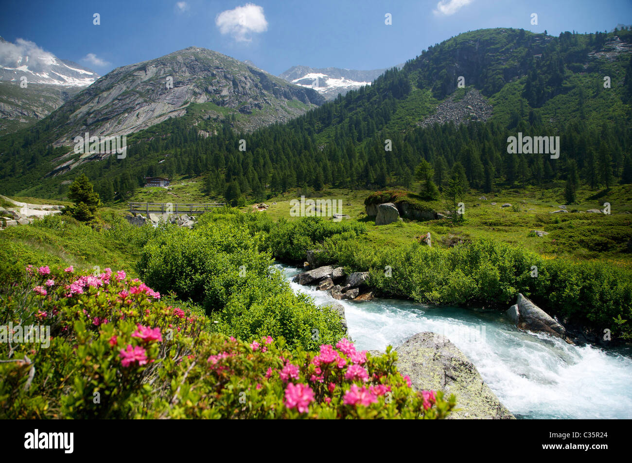Chiese river in Adamello-Brenta Natural Park, Fumo Valley, Val di Daone ...