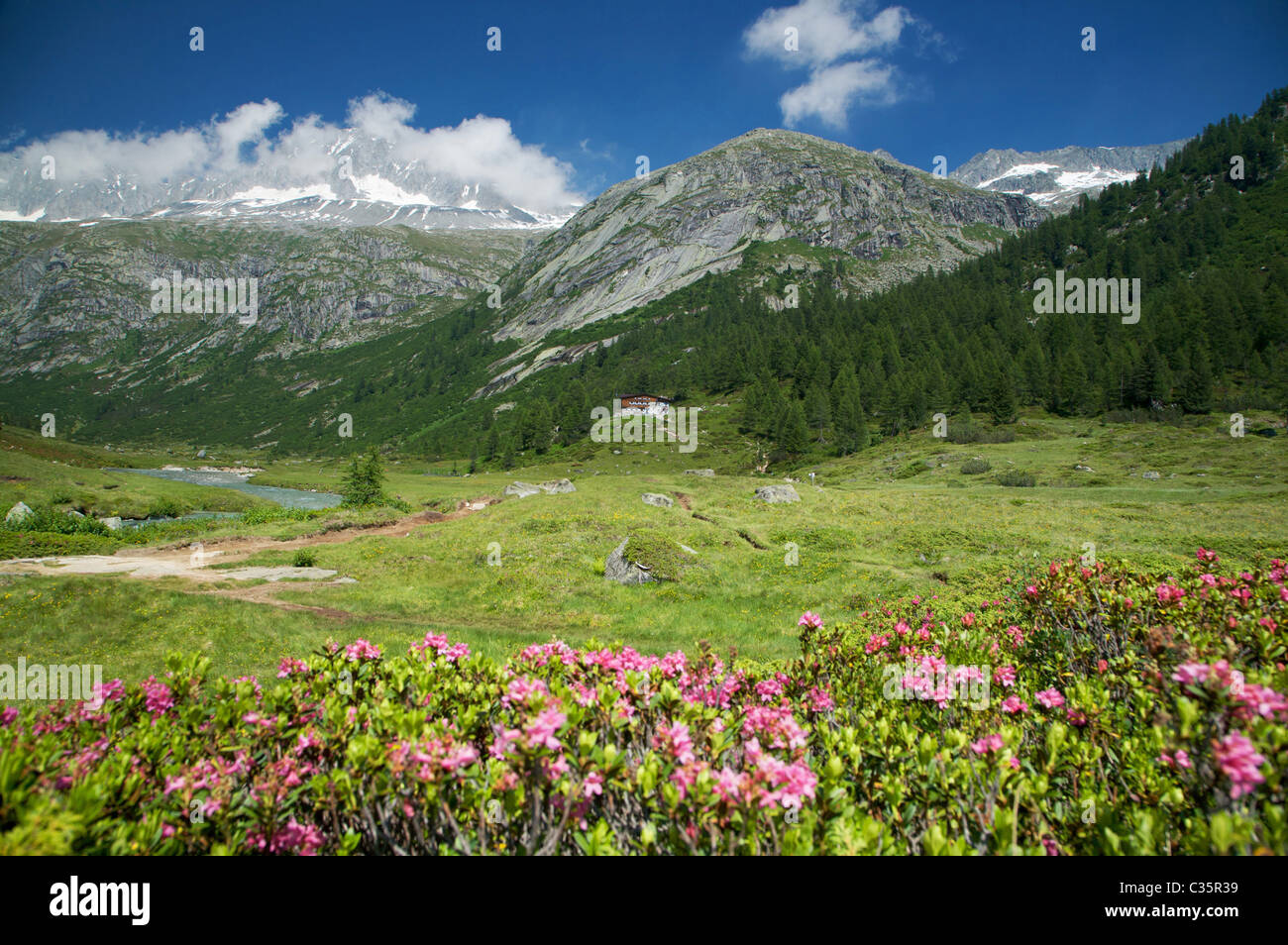Chiese river in Adamello-Brenta Natural Park, Fumo Valley, Val di Daone ...