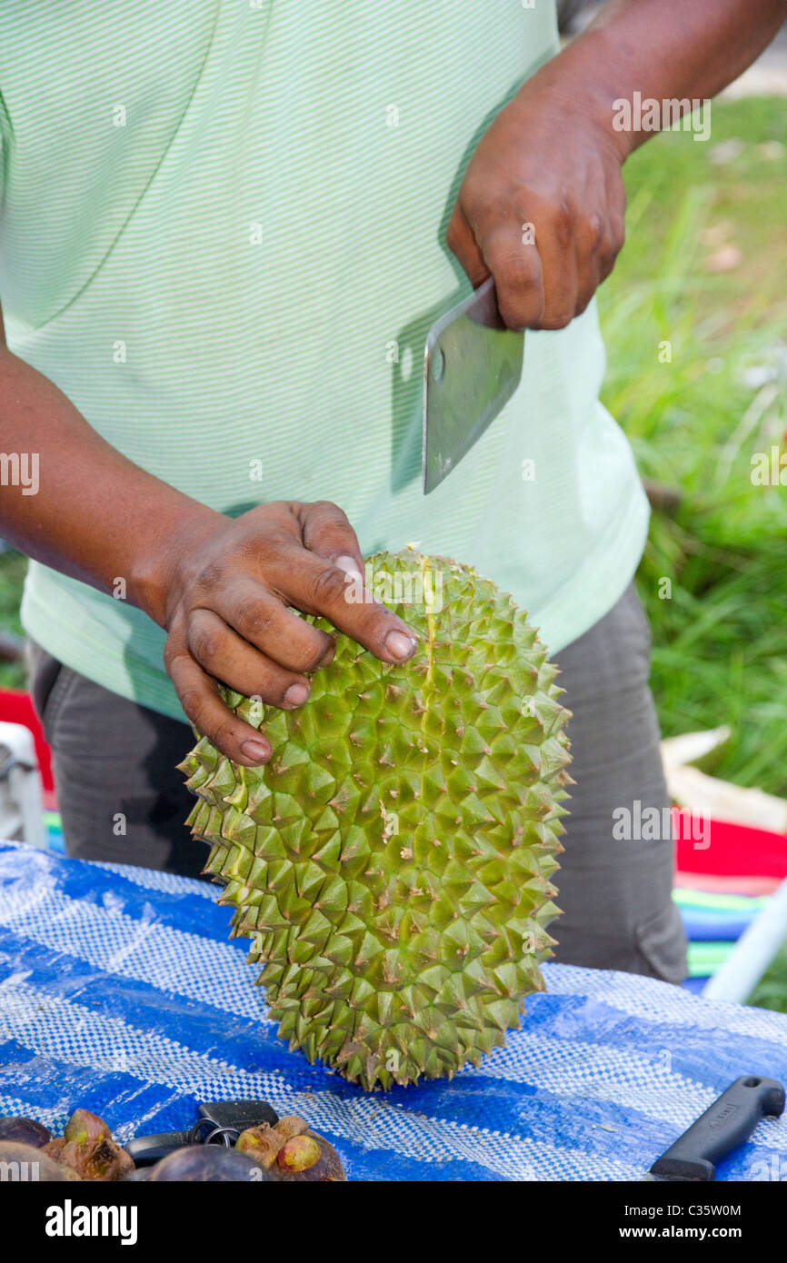 Open durian hi-res stock photography and images - Alamy