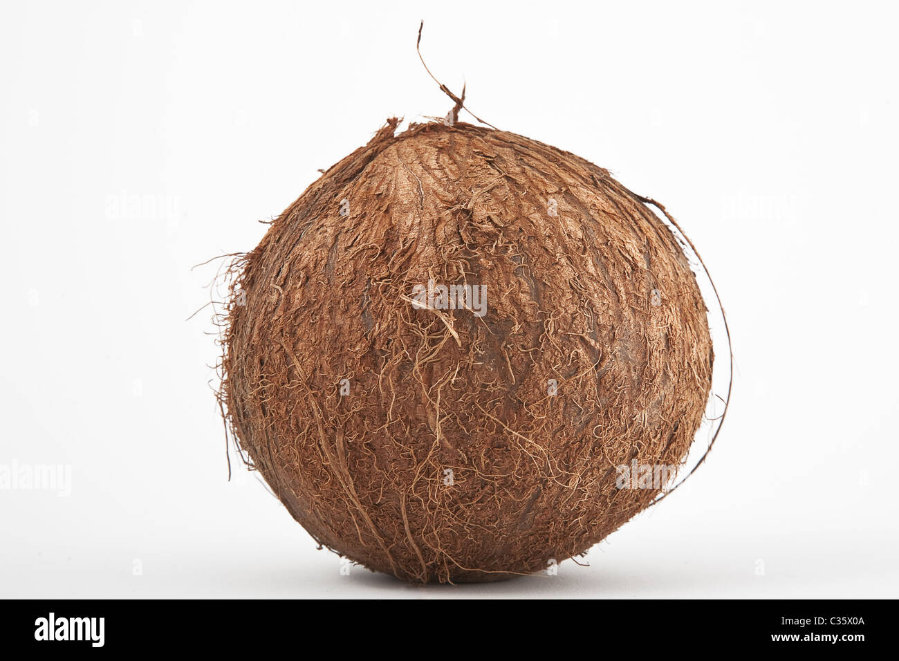 front view of coconut isolated on white background Stock Photo - Alamy