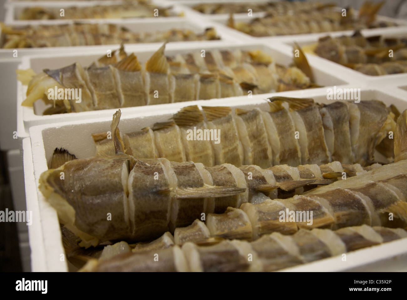 Fish processing hi-res stock photography and images - Alamy