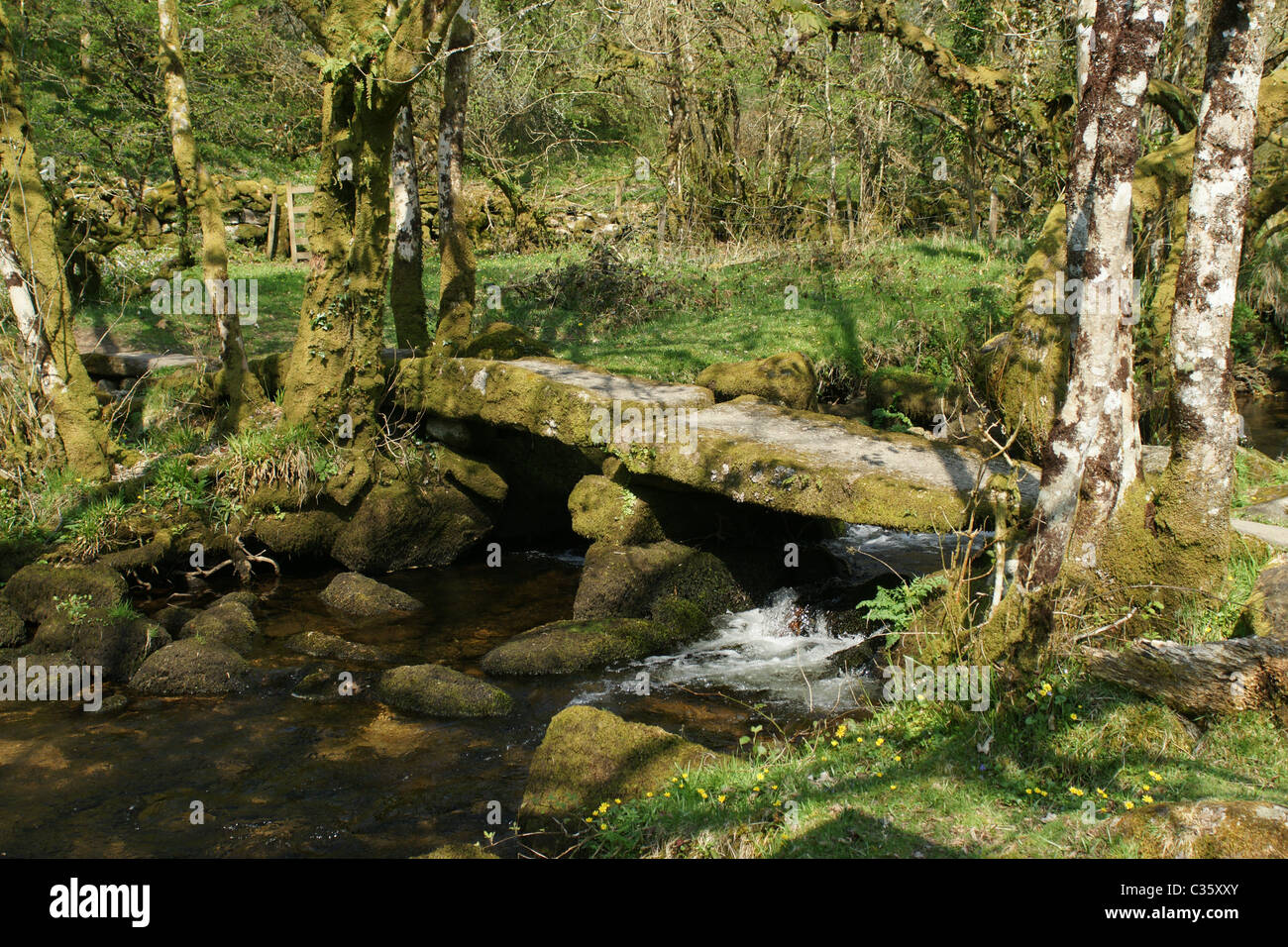 Dartmoor Clapper Bridge Stock Photo - Alamy