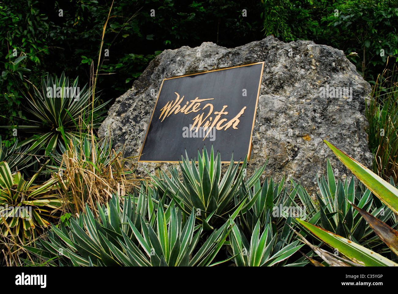 Entrance sign at White Witch Golf Course, St. James, Jamaica Stock ...