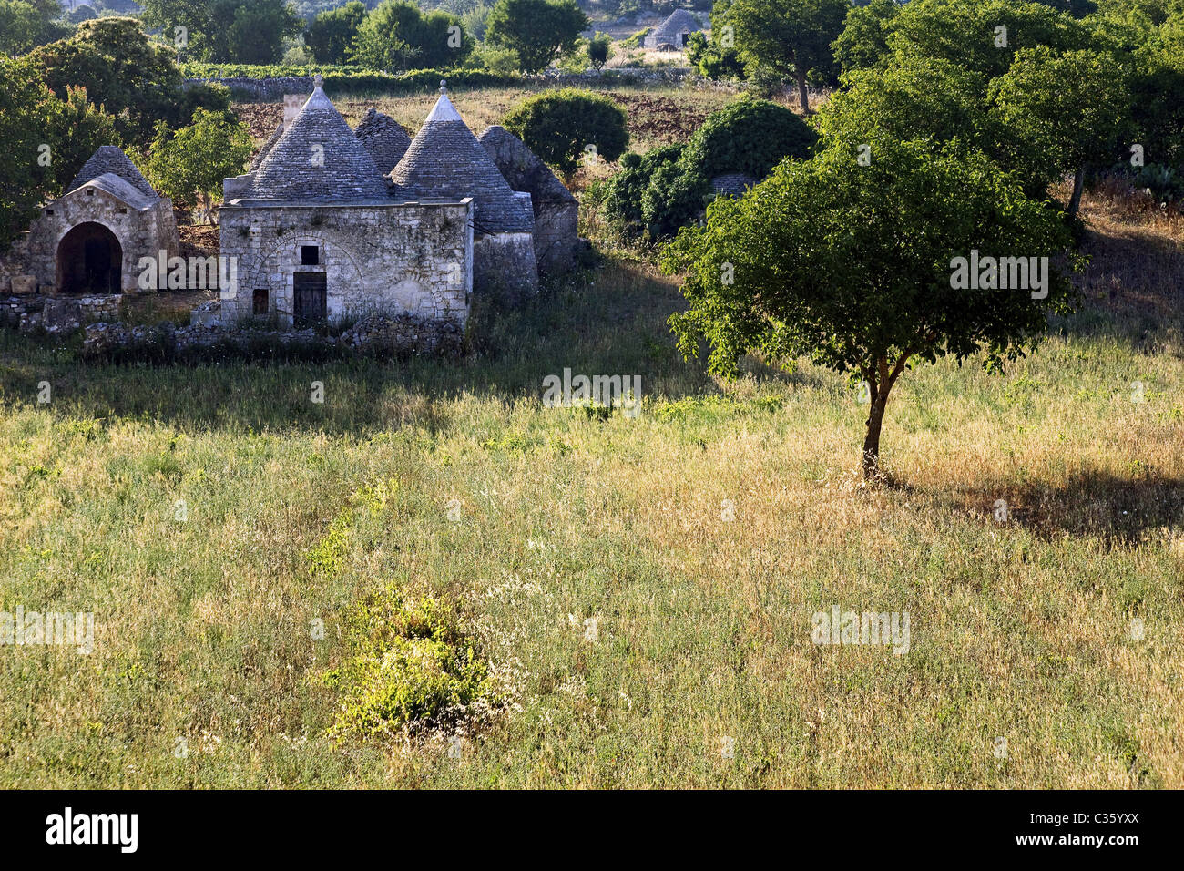 Trulli, Itria Valley, Apulia, Italy Stock Photo - Alamy