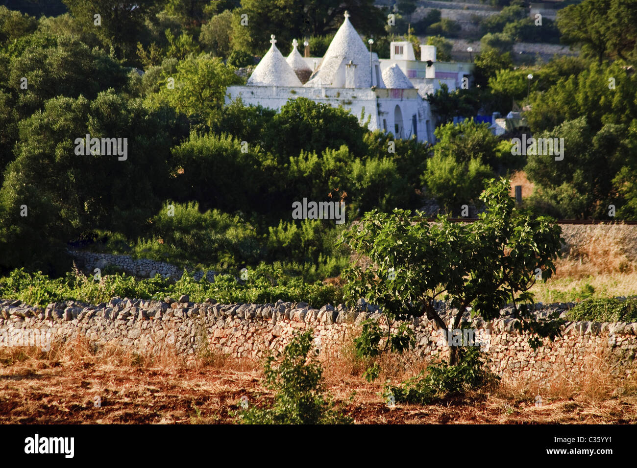 Trulli, Itria Valley, Apulia, Italy Stock Photo - Alamy