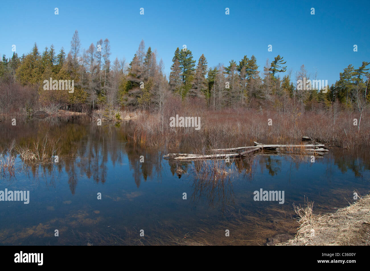 A pond on Manitoulin Island Stock Photo - Alamy