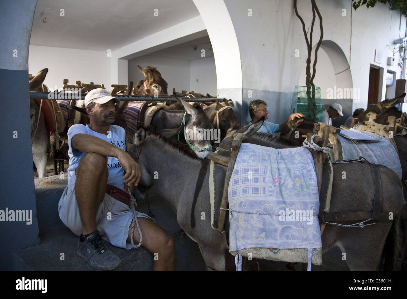 Donkey Station, Lindos, Dodecanese, Rhodes Island, Greek Island, Greece ...
