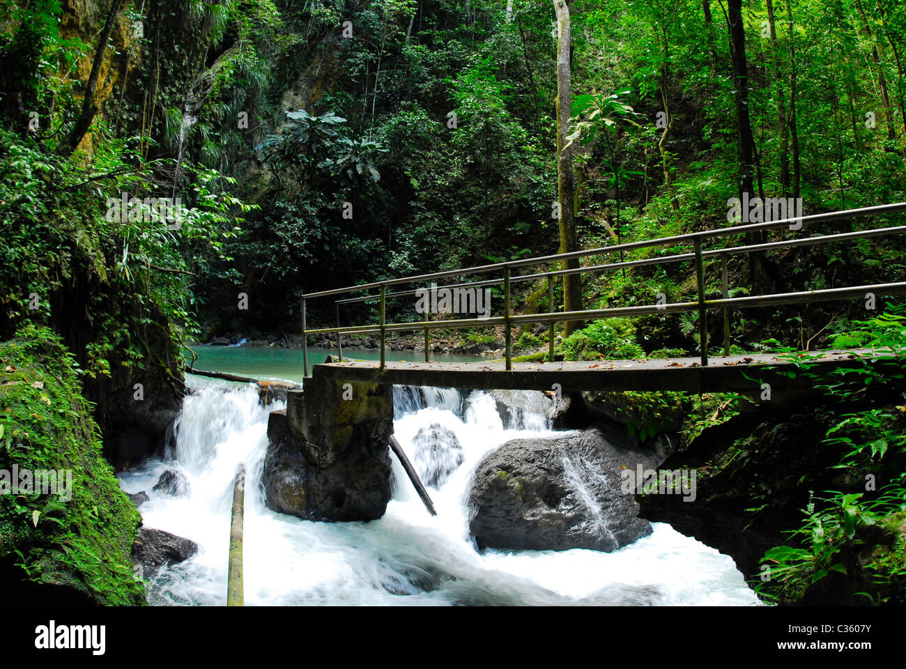 Mineral spring at Cranbrook Flower Forest, St Ann, Jamaica Stock Photo ...