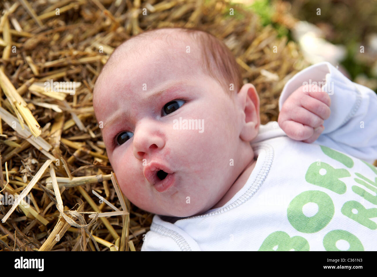 close up of six week old newborn female baby face. germany Stock Photo ...