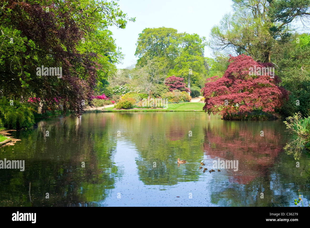 200 acres Exbury Gardens , Lionel de Rothschild rhododendrons & azaleas ...