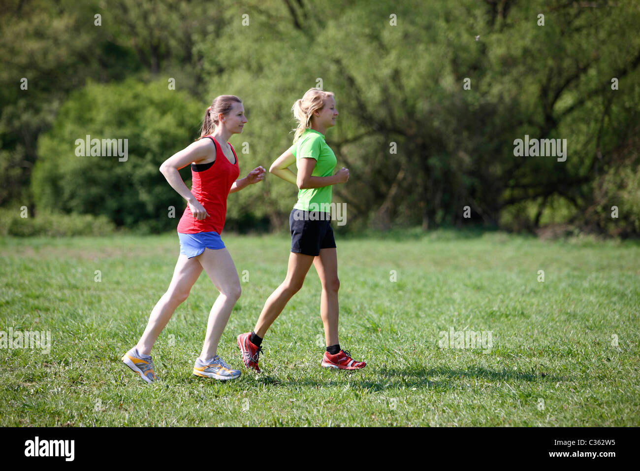 Two female hobby runners. Jogging in nature, in summer Stock Photo - Alamy