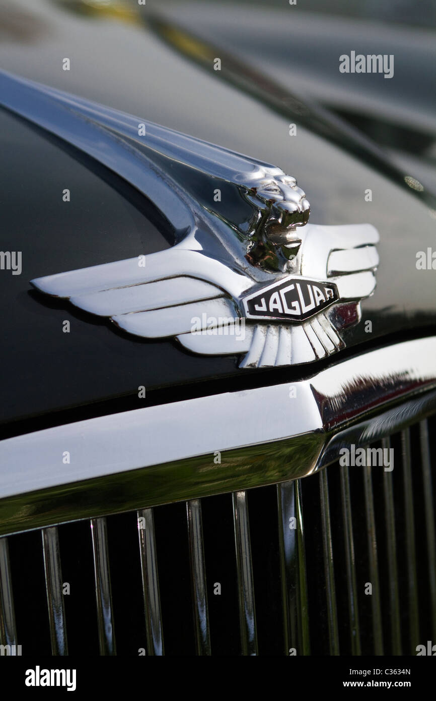 Jaguar chrome mascot and radiator grille Stock Photo - Alamy