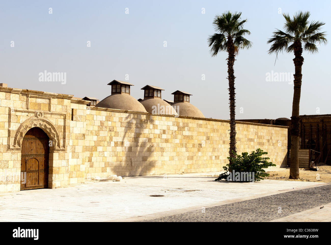 Palm trees cairo hi-res stock photography and images - Alamy