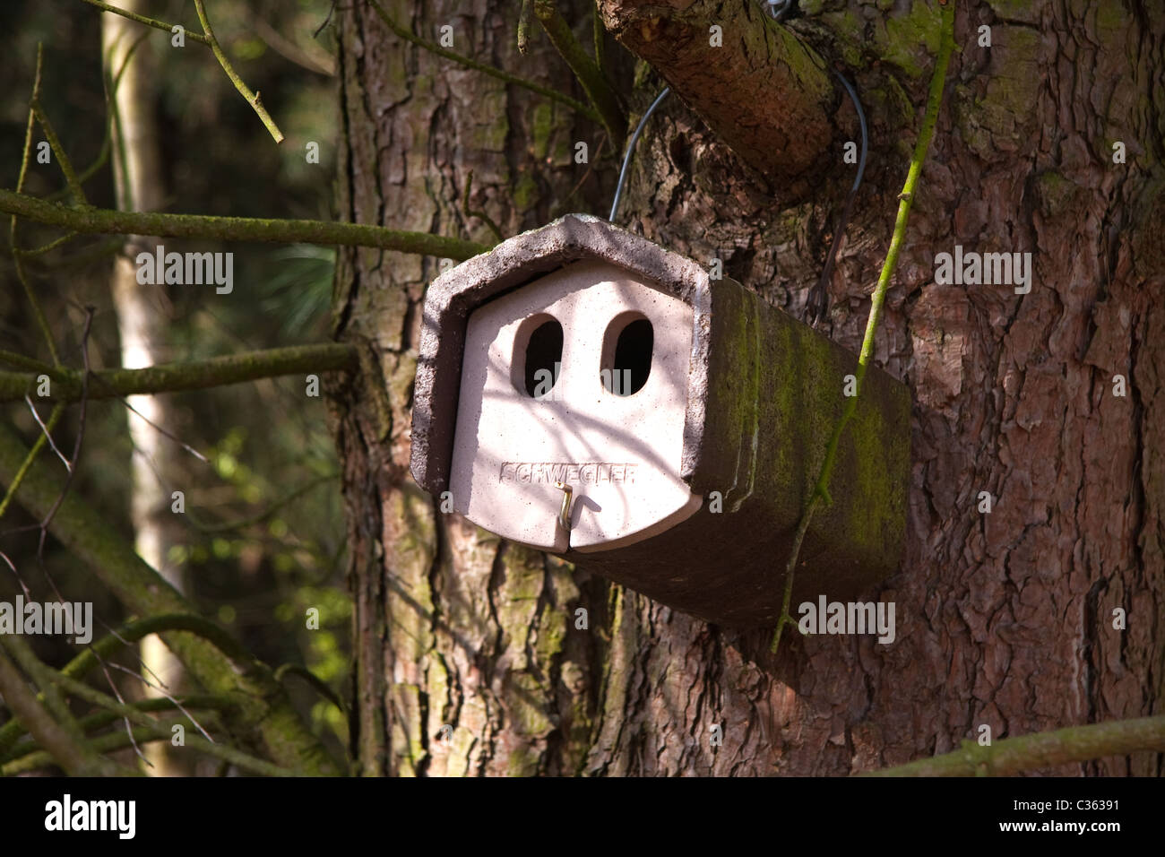 Tree mounted box for bats hi-res stock photography and images - Alamy