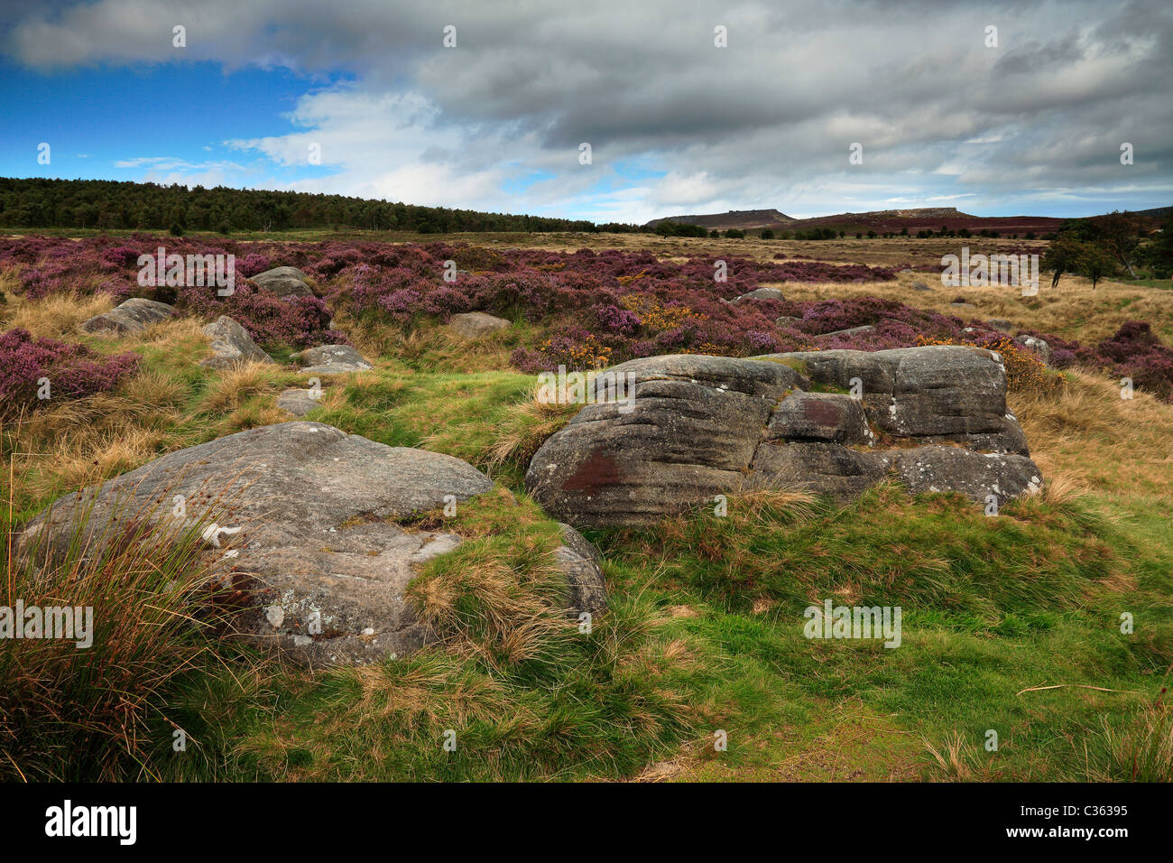 Burbage moor, Dark Peak, The Peak District, Derbyshire Stock Photo - Alamy