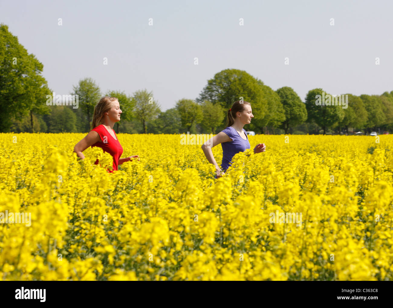 Two female hobby runners, jogging on a path through a yellow rape field ...