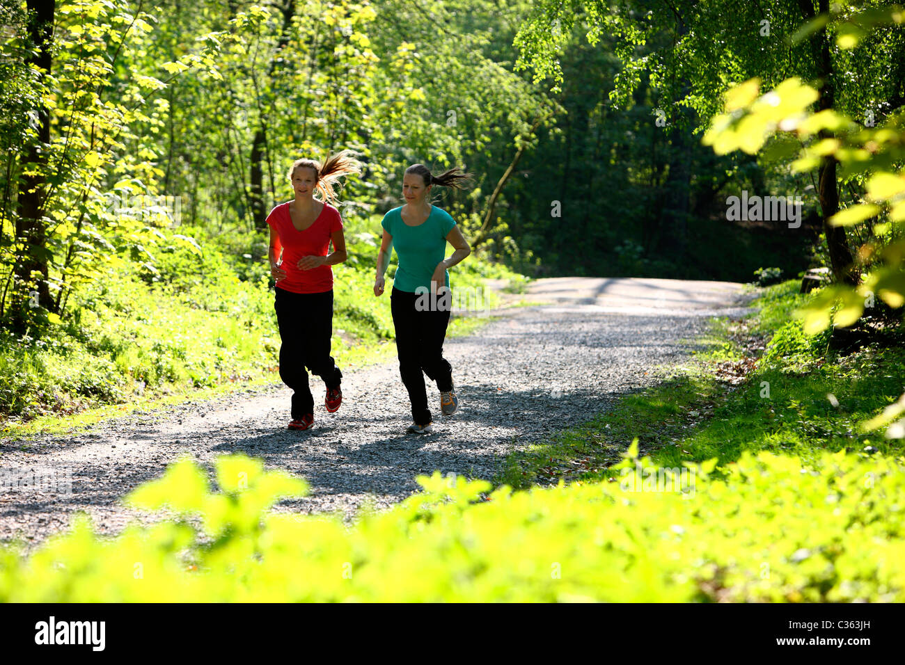 Two female hobby runners, jogging in a forest in summer Stock Photo - Alamy