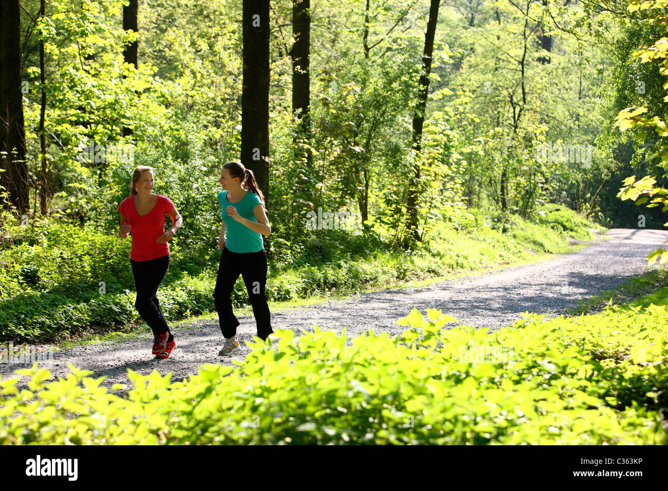 Two female hobby runners, jogging in a forest in summer Stock Photo - Alamy