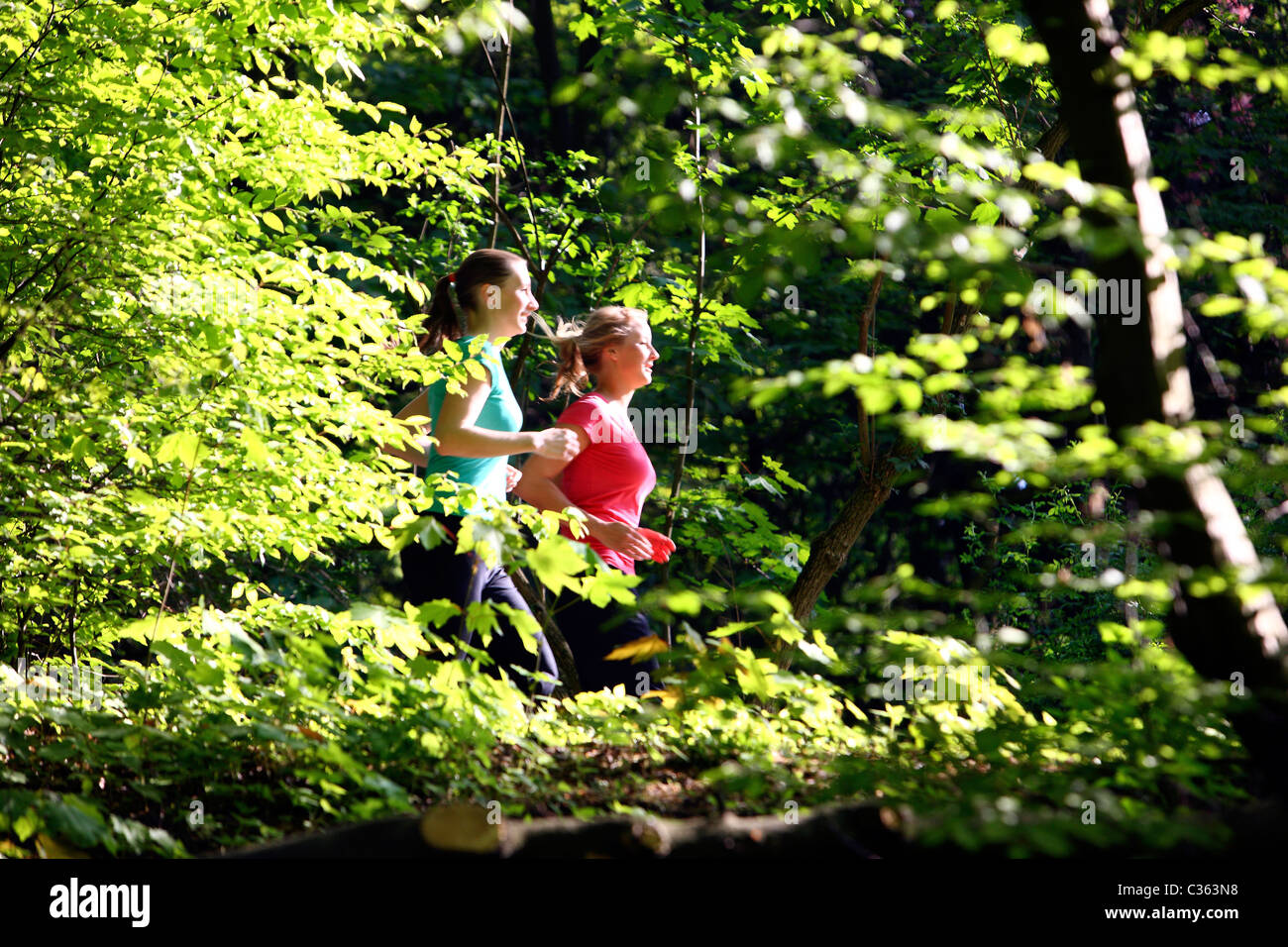 Two female hobby runners, jogging in a forest in summer Stock Photo - Alamy