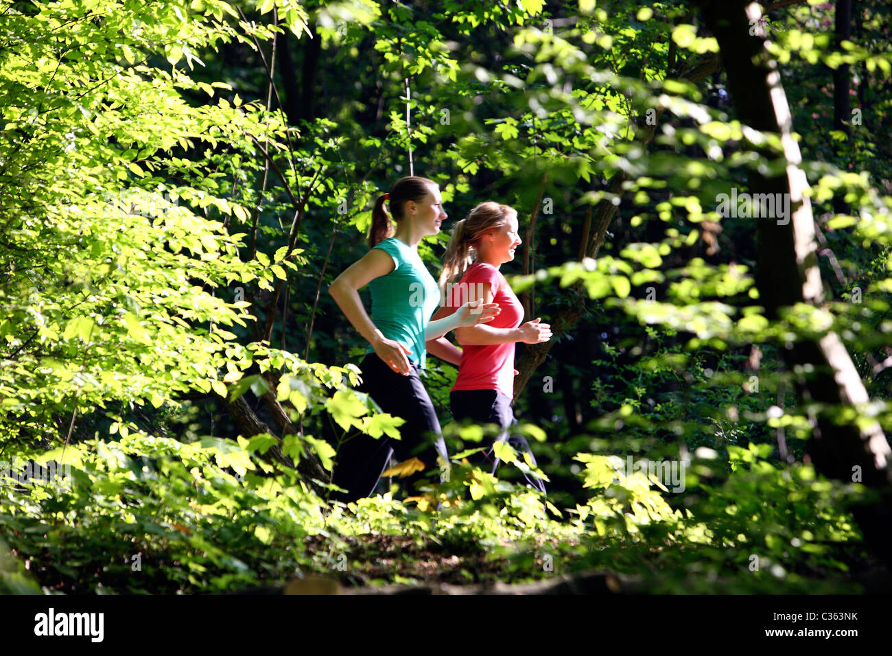 Two female hobby runners, jogging in a forest in summer Stock Photo - Alamy