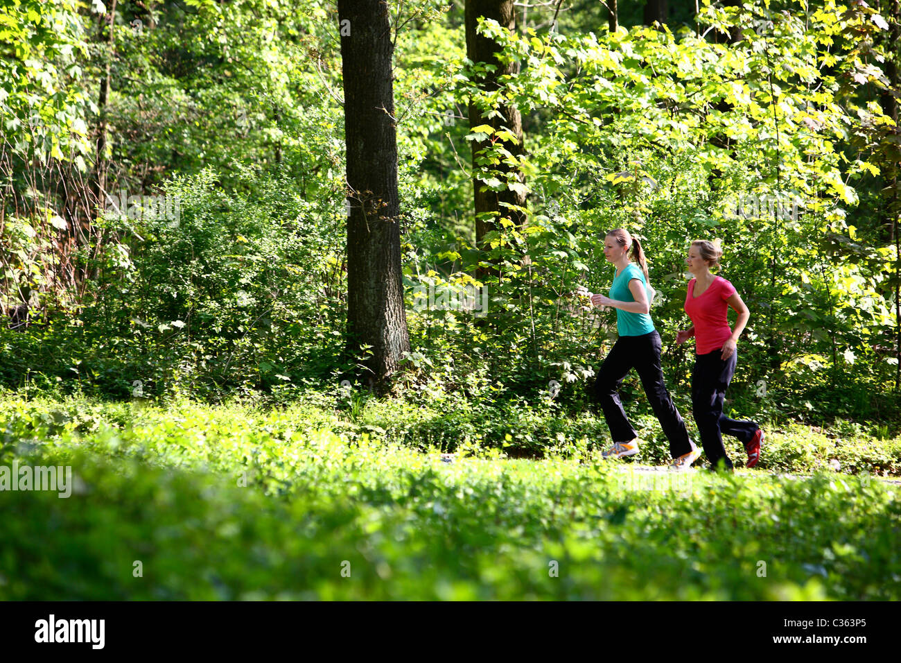 Two female hobby runners, jogging in a forest in summer Stock Photo - Alamy