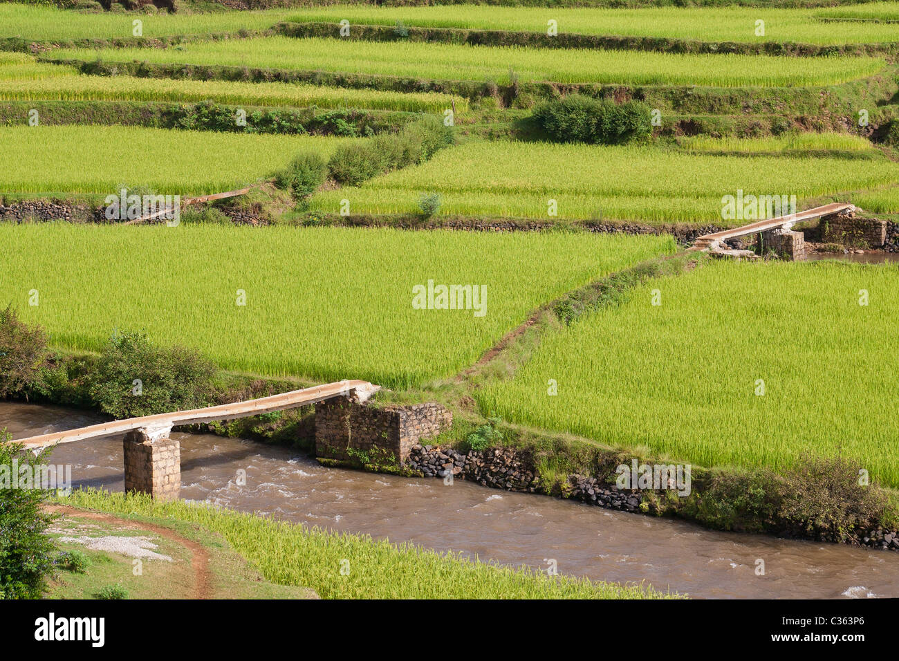 Rice terraces madagascar hi-res stock photography and images - Alamy