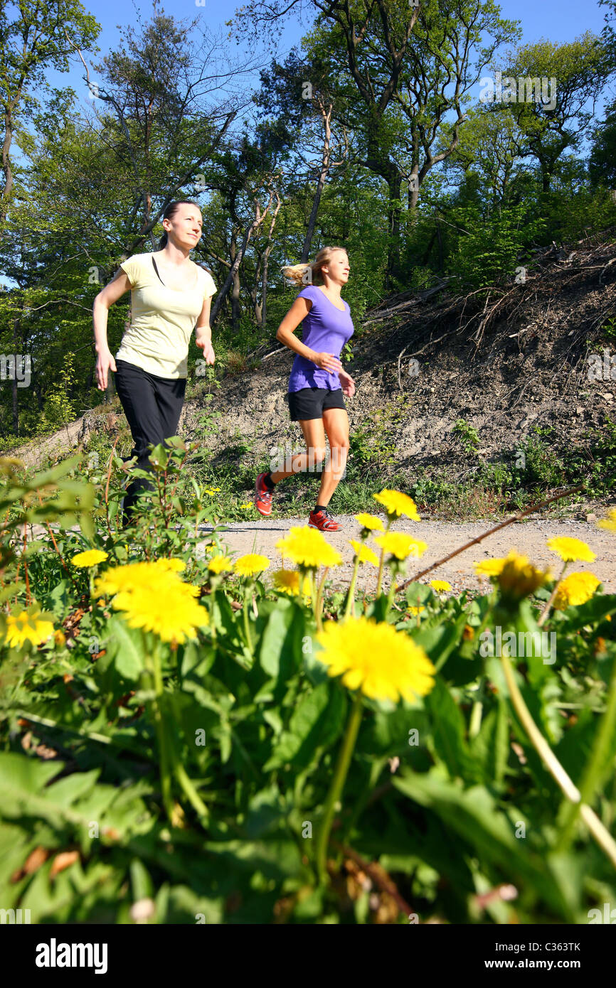 Two female hobby runners, jogging in a forest in summer Stock Photo - Alamy