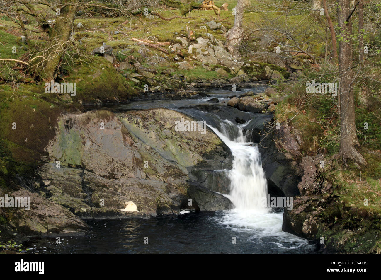 A Welsh mountain stream - the River Gamlan, Ganllwyd, Dolgellau ...