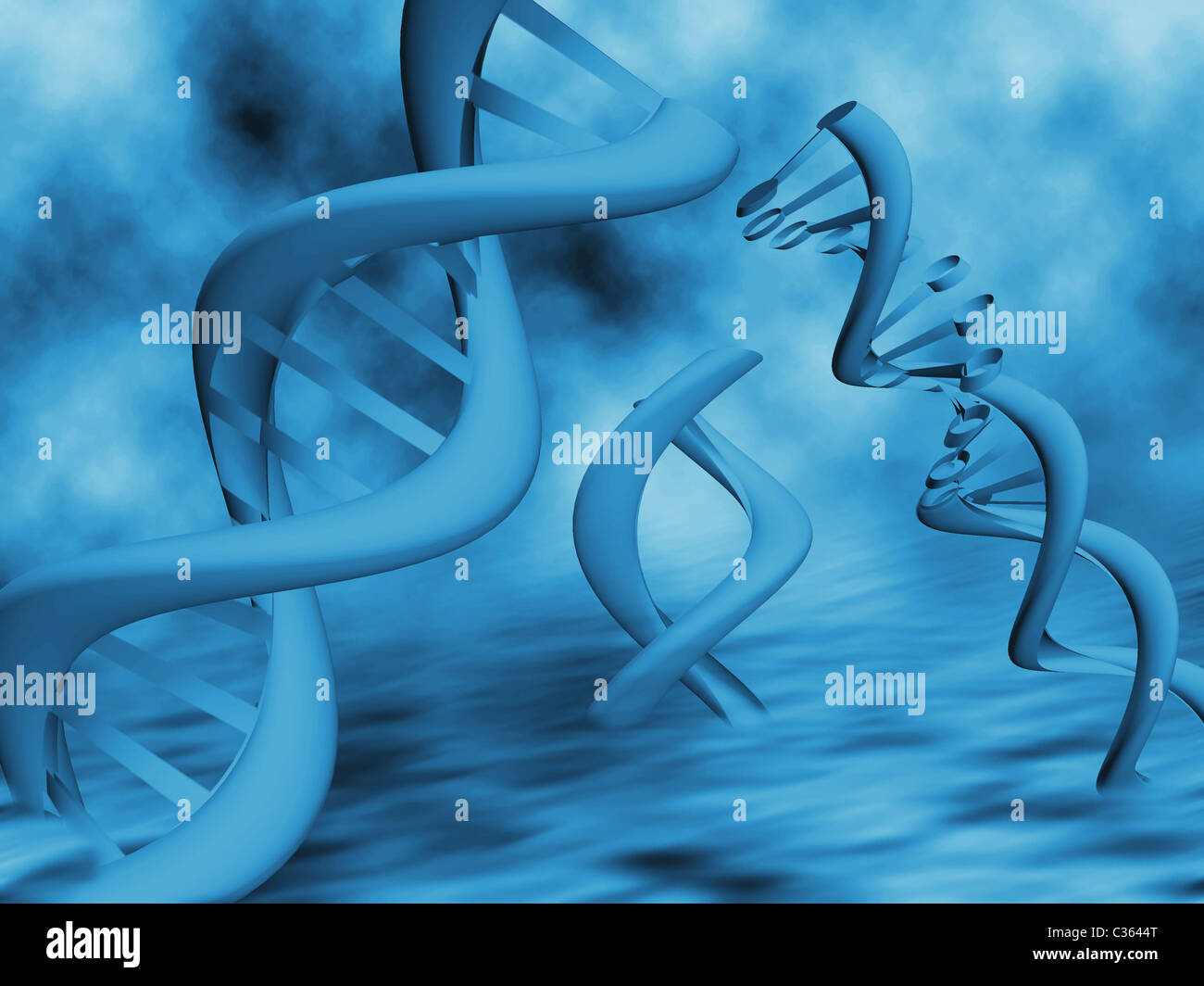Human evolution darwin hi-res stock photography and images - Alamy