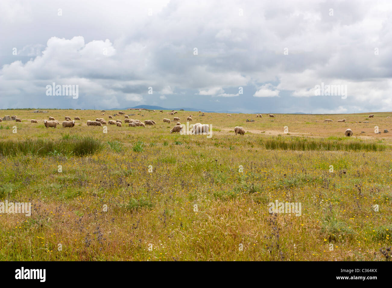 Extremena hi-res stock photography and images - Alamy