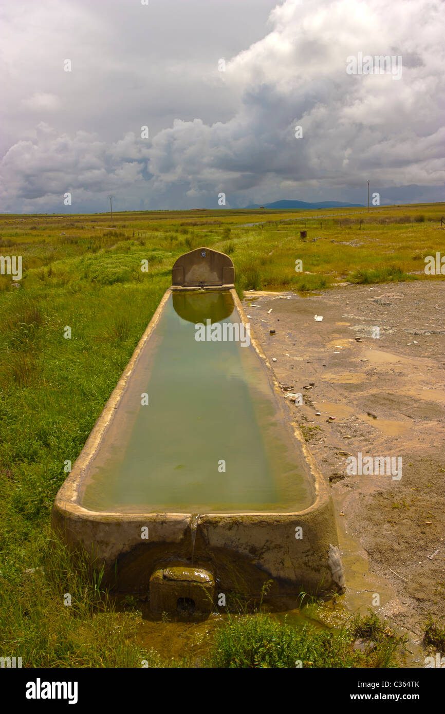 Water trough pond hi-res stock photography and images - Alamy