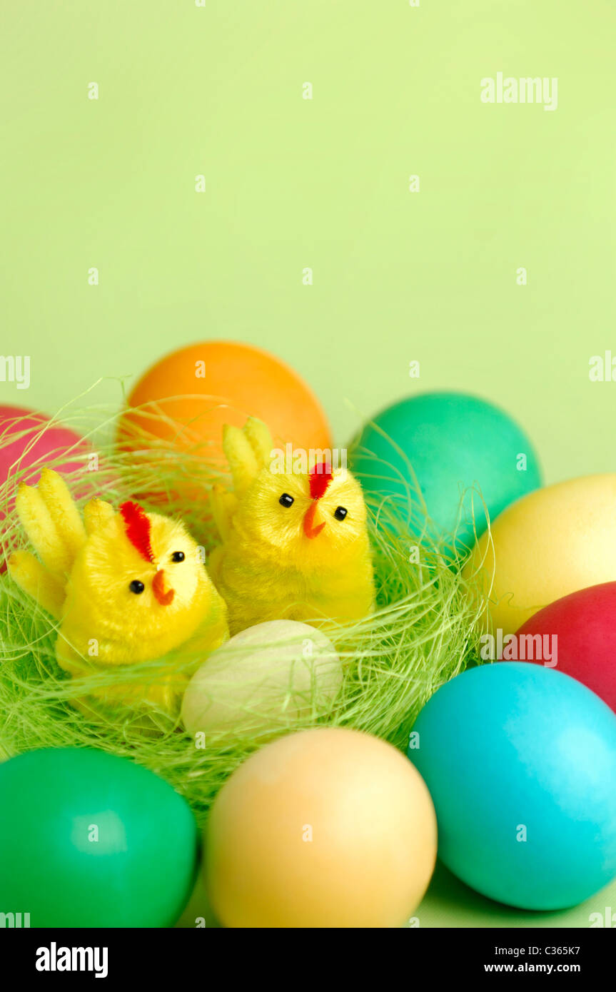 Multicolor chicks hi-res stock photography and images - Alamy