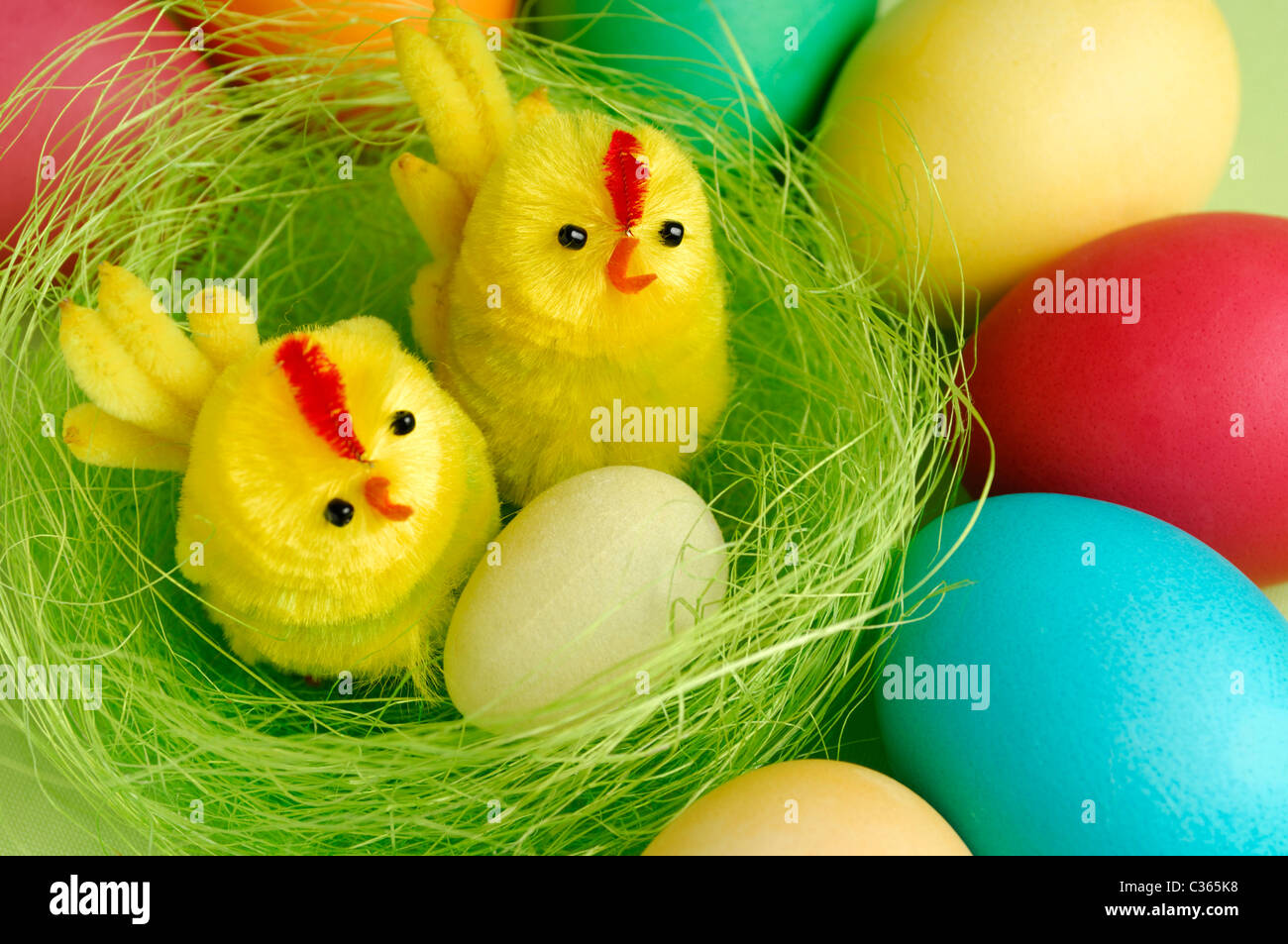 Colour painted chicks hi-res stock photography and images - Alamy