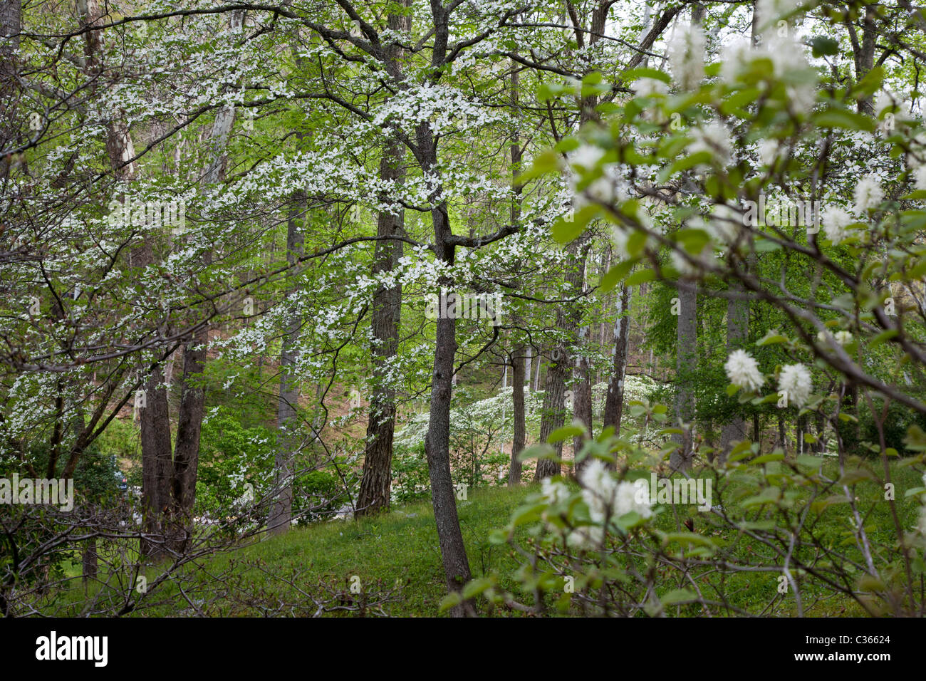 Oak ridge tennessee hi-res stock photography and images - Alamy