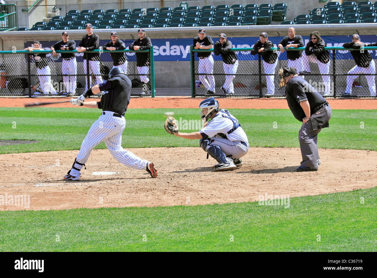 Baseball umpire hi-res stock photography and images - Alamy