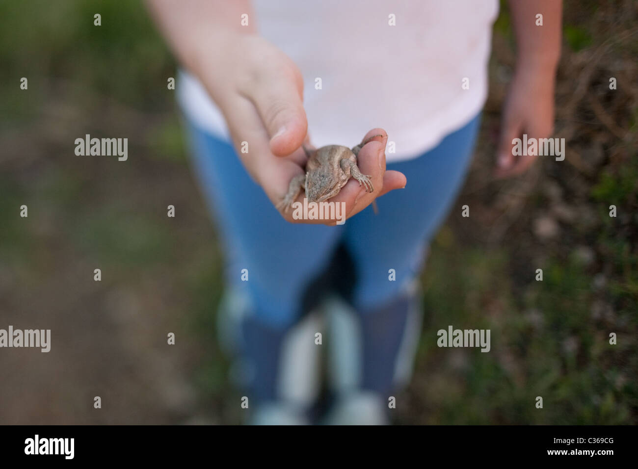Holding lizards hi-res stock photography and images - Alamy