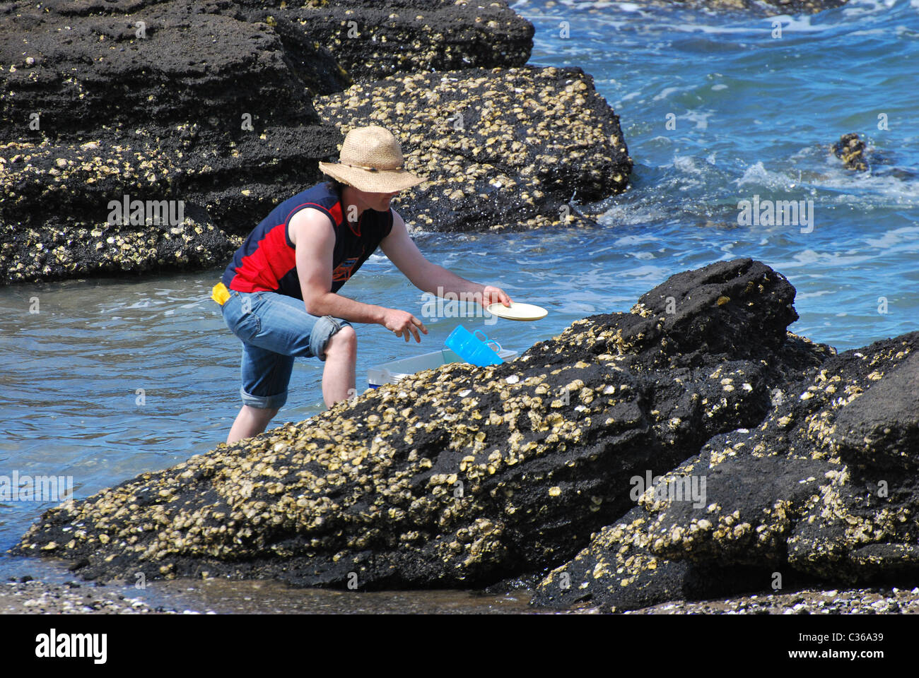 Fish on the rocks hi-res stock photography and images - Alamy