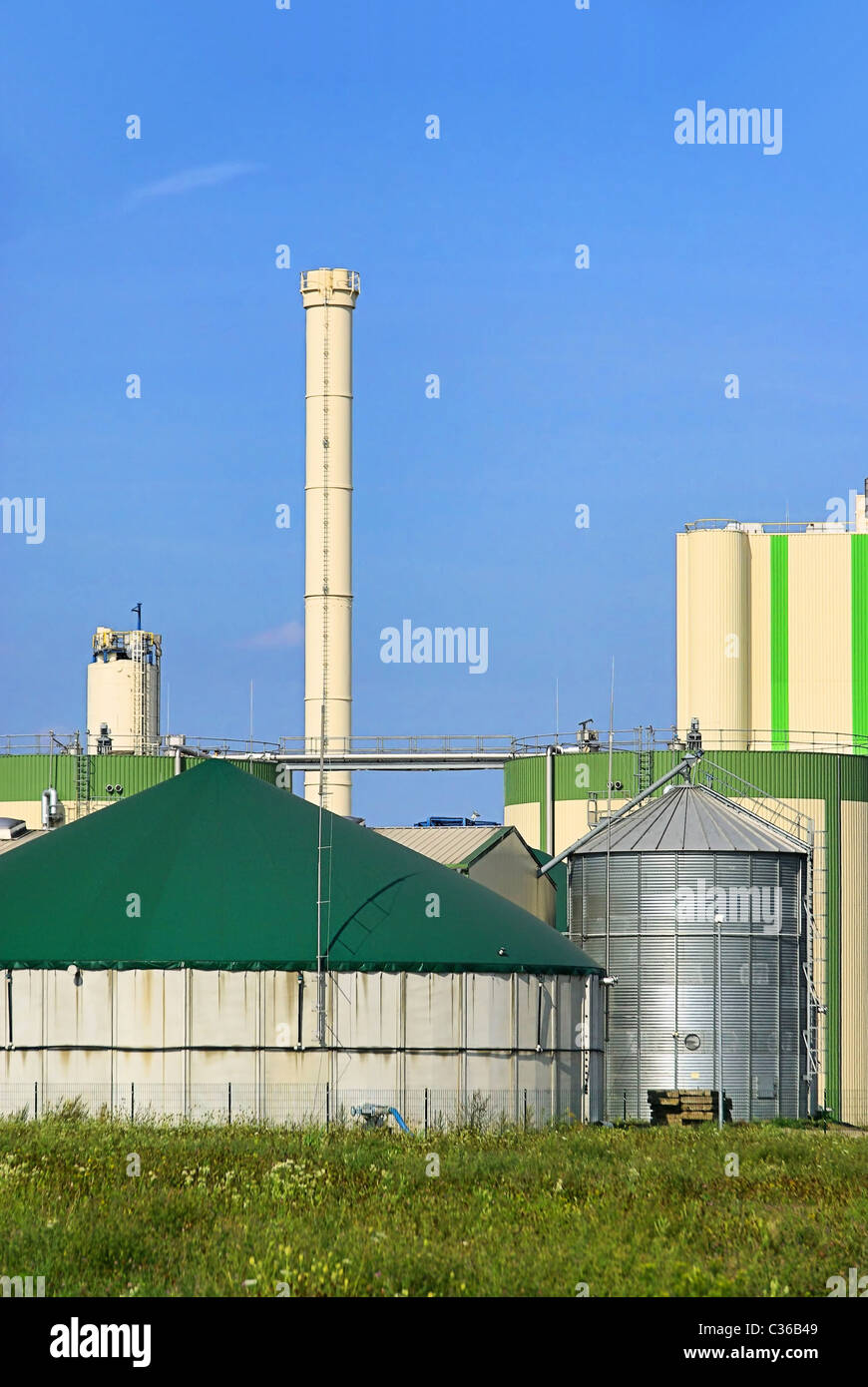 Biomass Plant Model