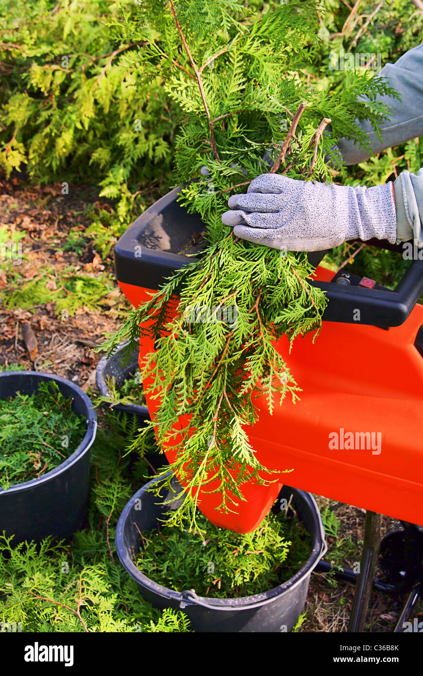 Chaff hi-res stock photography and images - Alamy