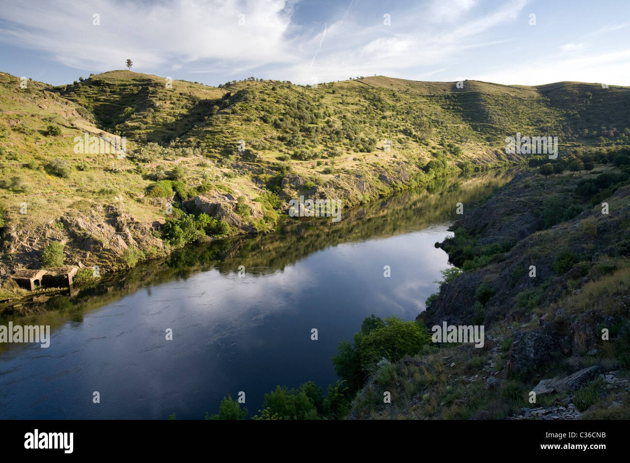 Grass by the tagus river hi-res stock photography and images - Alamy